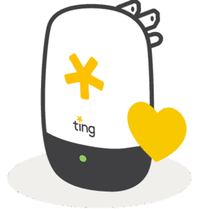 Ting: Fire Prevention & Power Outage Alerts