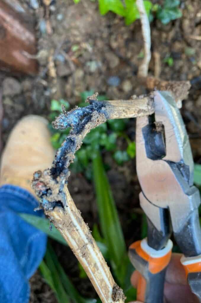 Ting Electrical Fire Prevention Sensor and Service - Get Ting