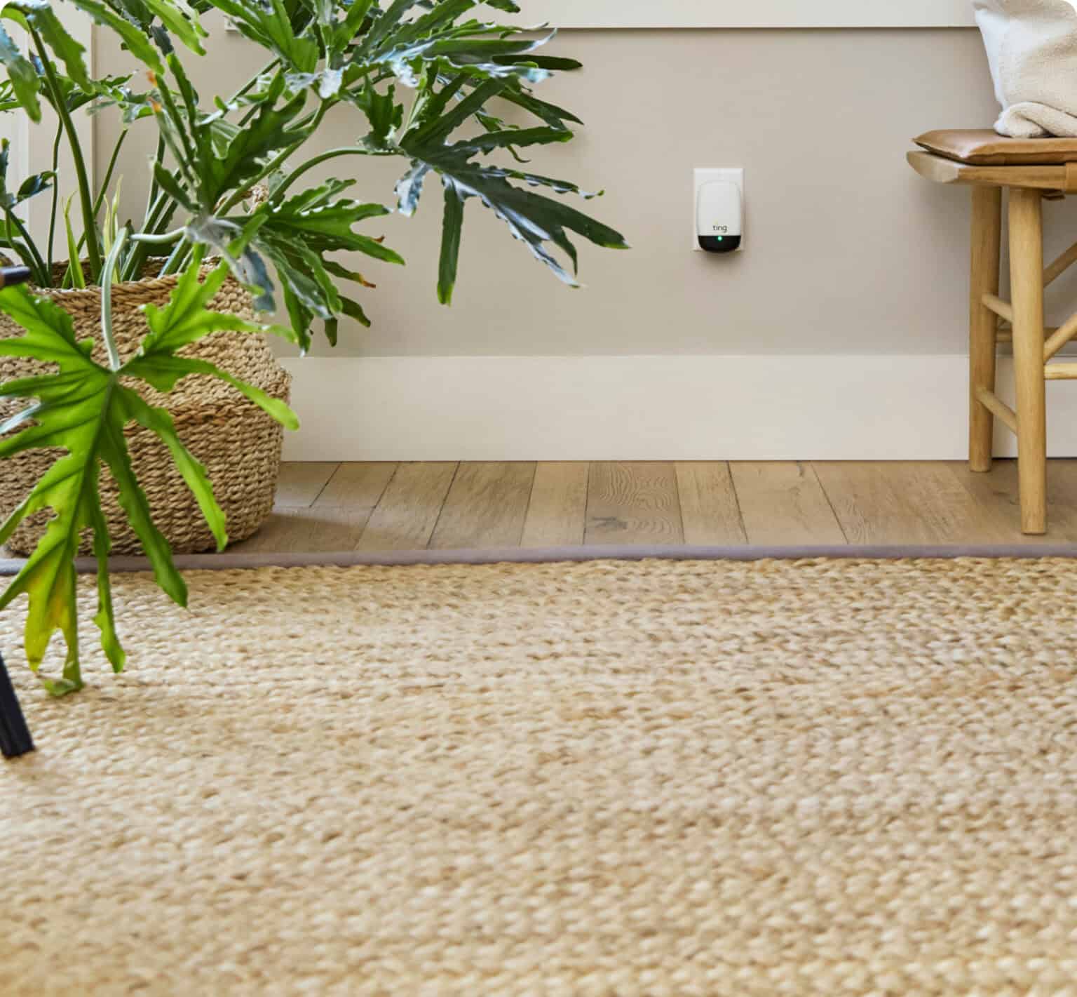 Ting Electrical Fire Prevention Sensor and Service - Get Ting