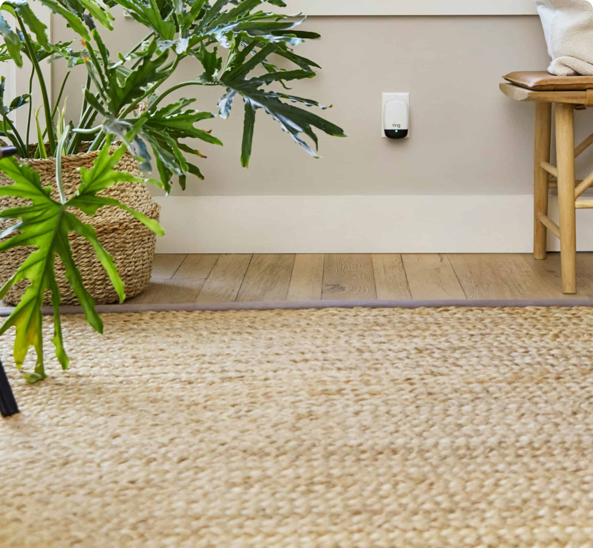 Ting Electrical Fire Prevention Sensor and Service - Get Ting