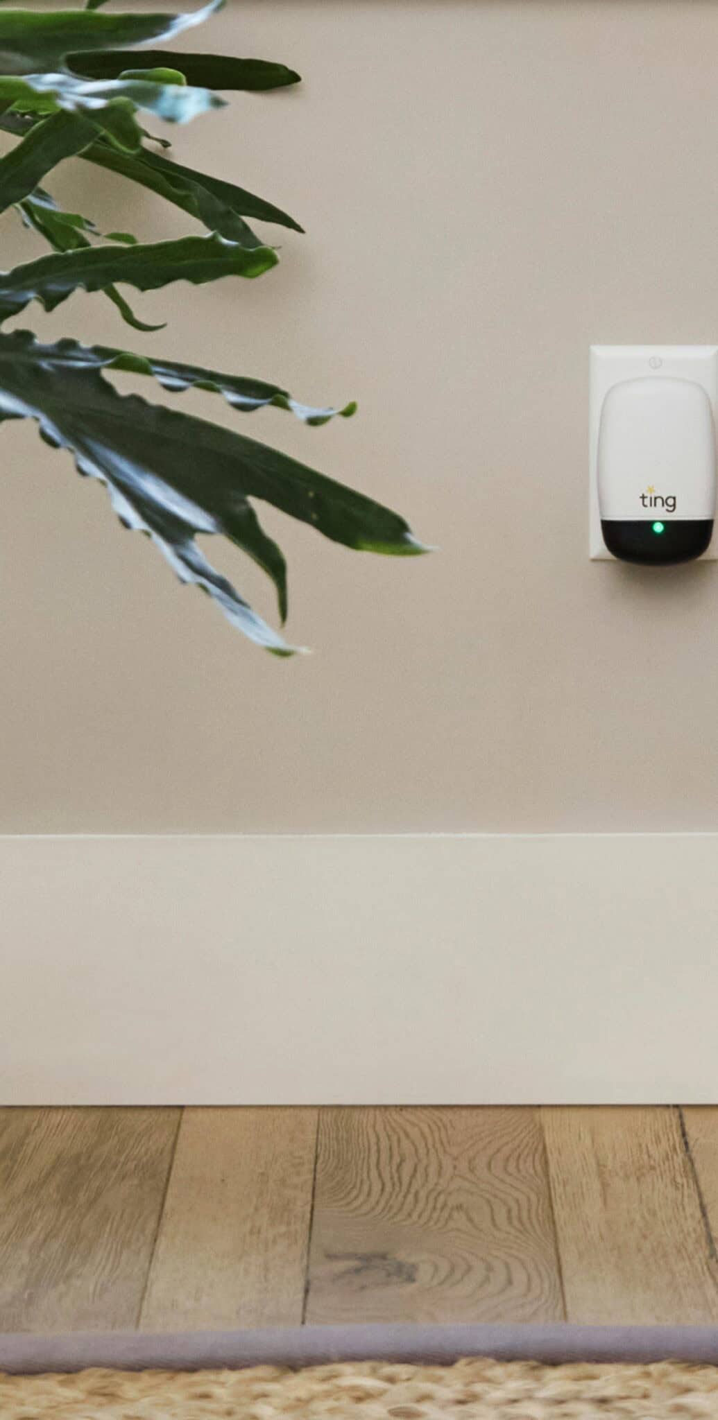 Ting Electrical Fire Prevention Sensor and Service - Get Ting